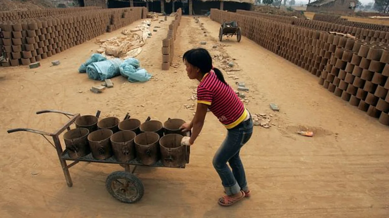 China’s forced labor regime and global complicity exposed